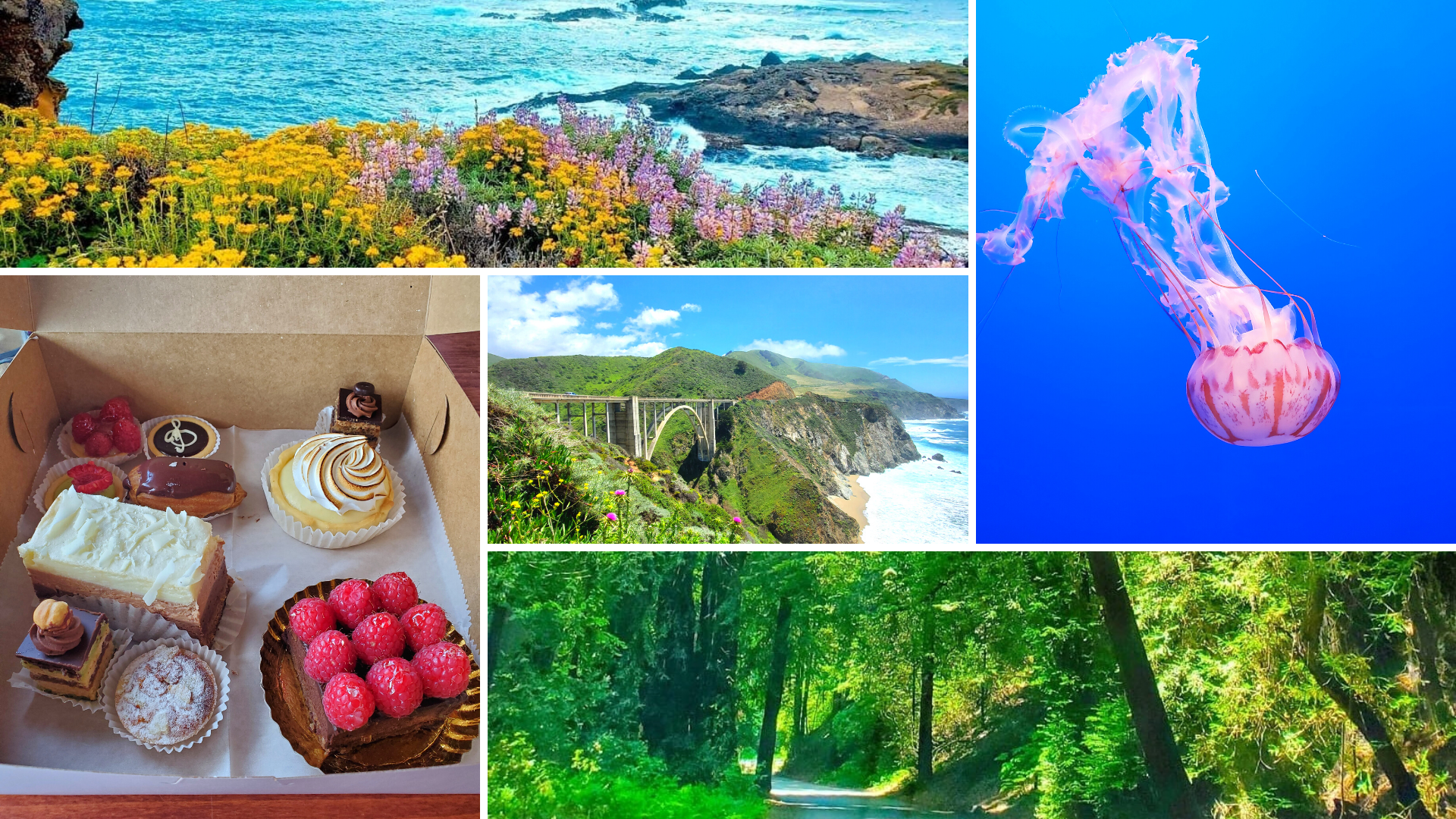 The Colorventurer’s Guide: Things to Do On a Getaway to Monterey ...