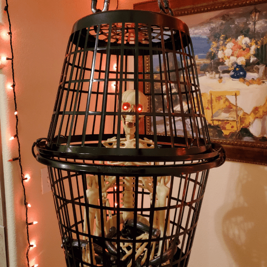 There’s No Bones About It, This Skele-Fun Skeleton Cage Is a Must For ...