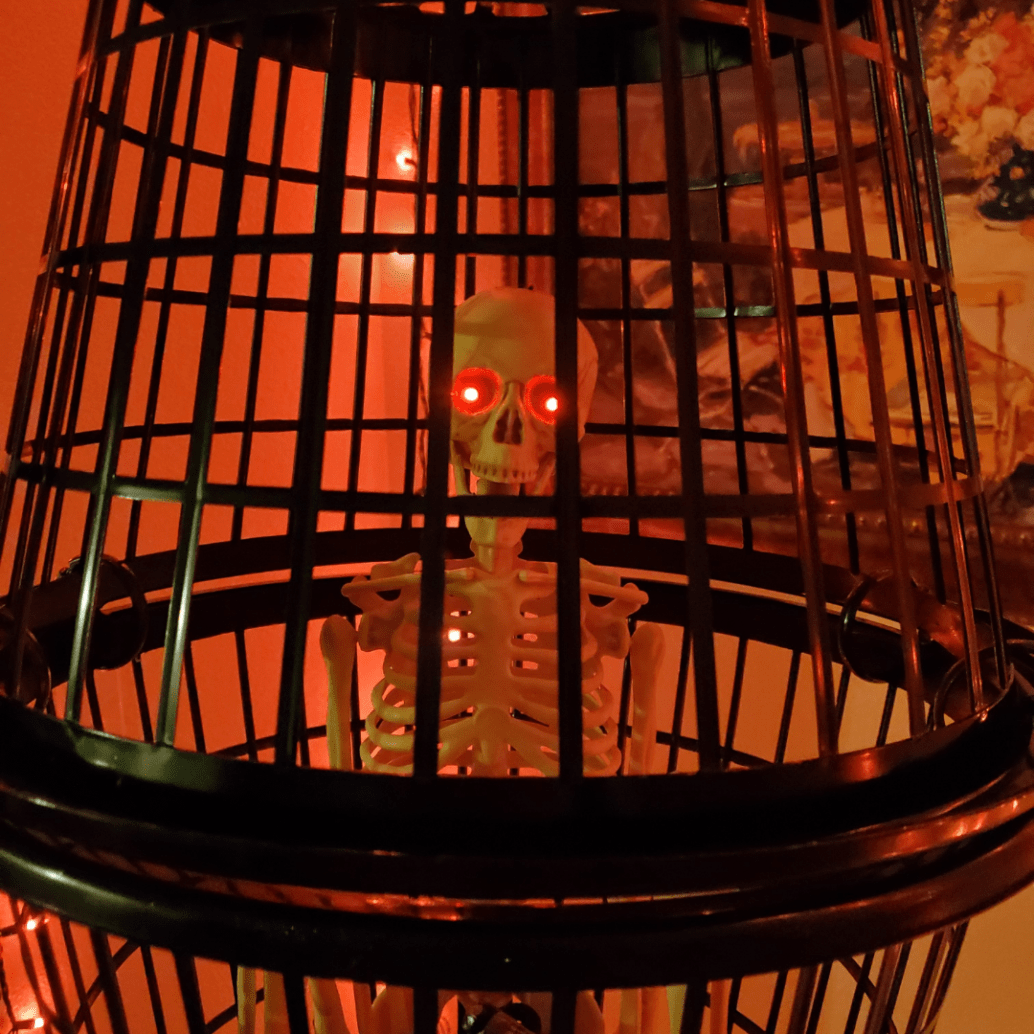 There’s No Bones About It, This Skele-Fun Skeleton Cage Is a Must For ...