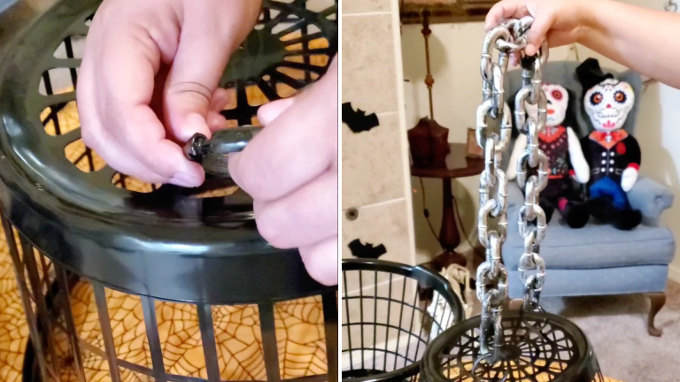 There’s No Bones About It, This Skele-Fun Skeleton Cage Is a Must For ...